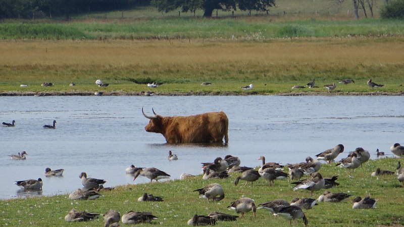 Marcus Soldner - information has no value until it is shared